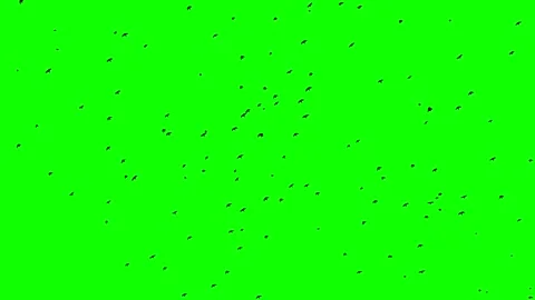 Upper Right Screen Stock Videos – Royalty-Free HD & 4K Videos | Pond5