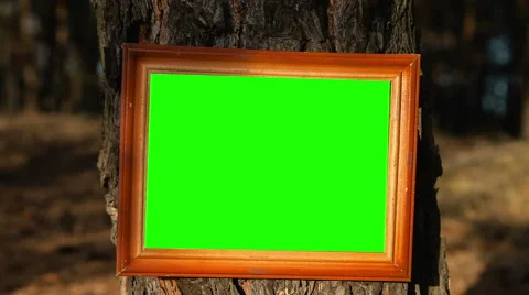 Green screen frame | Stock Video | Pond5