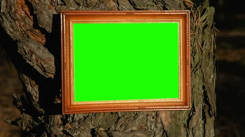 Green screen frame | Stock Video | Pond5
