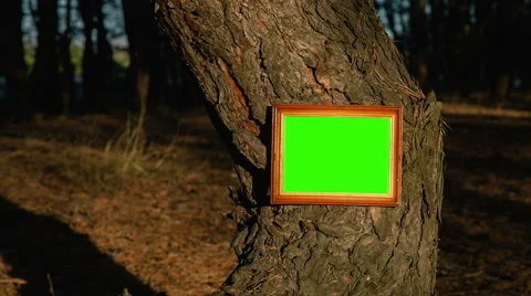 Green screen frame | Stock Video | Pond5
