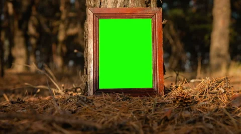 Green screen frame | Stock Video | Pond5