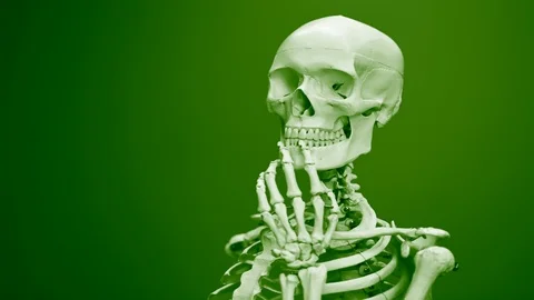 Green screen, Human Skeleton, skull illu... | Stock Video | Pond5