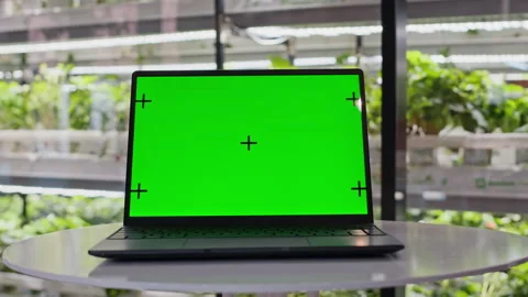 Green Screen Laptop in front of Growing ... | Stock Video | Pond5