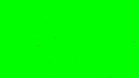 Green screen loop background from the bi... | Stock Video | Pond5