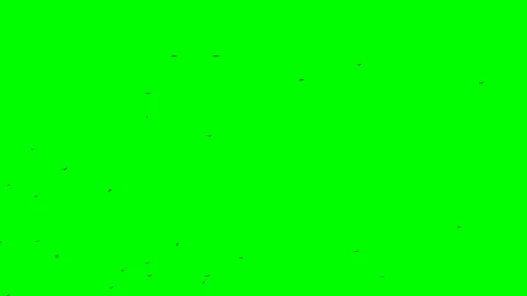 Green screen loop background from the bi... | Stock Video | Pond5