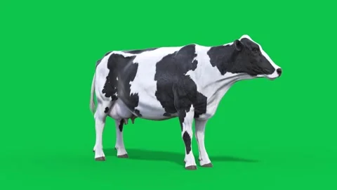 Green Screen Milkcow, Farm Animals 3D Re... | Stock Video | Pond5