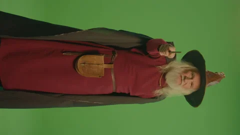 Green Screen. Portrait of an Old Wizard ... | Stock Video | Pond5