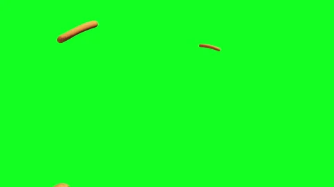 Green screen rain hot dog faling animati... | Stock Video | Pond5