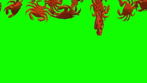 Lobster Green Screen Stock Video Footage | Royalty Free Lobster Green ...