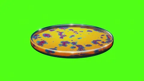 Green Screen render of a yellow bacteria... | Stock Video | Pond5