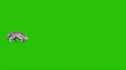 Attack 3D Animation Stock Videos – Royalty-Free HD & 4K Videos | Page 2