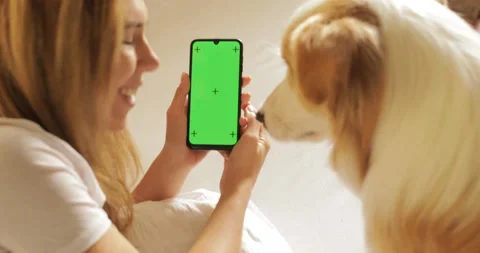 GREEN SCREEN tracking dot. Portrait of P... | Stock Video | Pond5