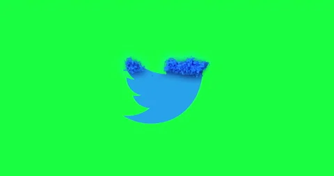 Green screen Tweeter logo animation | Stock Video | Pond5
