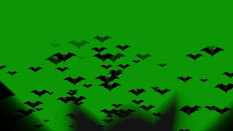 Bats Flying Green Screen Stock Videos – Royalty-Free HD & 4K Videos