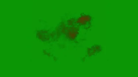 A green screen with white background and... | Stock Video | Pond5