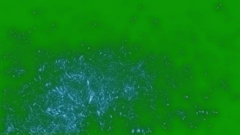 A green screen with white background and... | Stock Video | Pond5