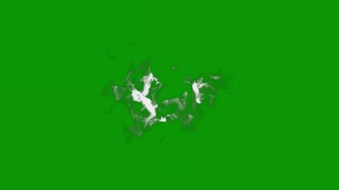 A green screen with white background and... | Stock Video | Pond5