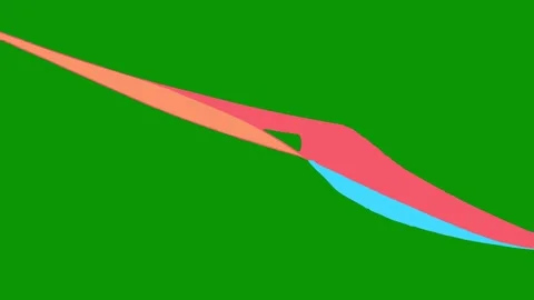 Picture White Border Stock Videos – Royalty-Free HD & 4K Videos