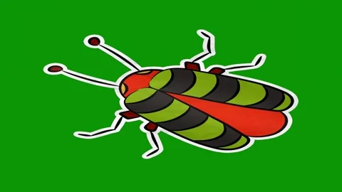 Bug Pucture Stock Videos – Royalty-Free HD & 4K Videos | Pond5