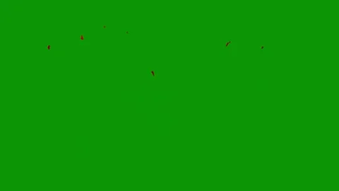 A green screen with white background and... | Stock Video | Pond5