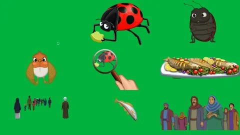 Lady Bug Vector Stock Videos – Royalty-Free HD & 4K Videos