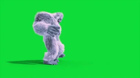 Green Screen Yeti, Gorilla, Snow Monster... | Stock Video | Pond5