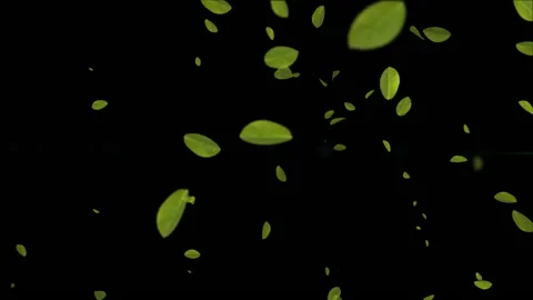 green tree leaves particle animation | Stock Video | Pond5
