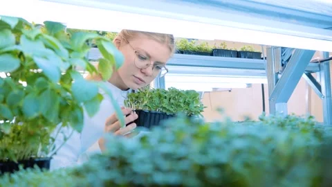 Nutritionist Stock Video Footage | Royalty Free Nutritionist Videos | Pond5