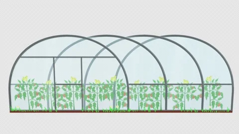 Greenhouse. Animation of growing plants.... | Stock Video | Pond5