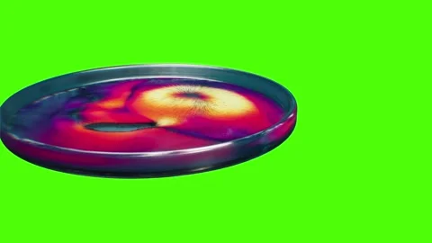 Greenscreen Pharmaceutical Research Anim... | Stock Video | Pond5