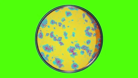 Greenscreen Render of Evolving yellow ba... | Stock Video | Pond5