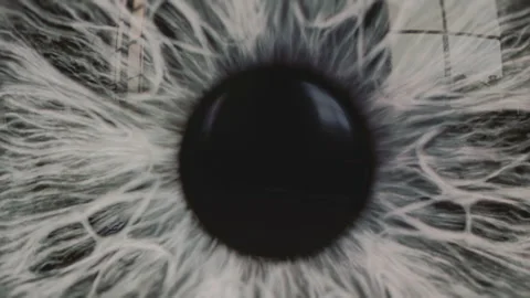 Grey human eye, detailed iris and pupil ... | Stock Video | Pond5