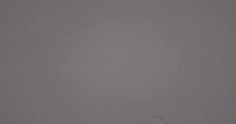 grey realistic flickering, analog vintag... | Stock Video | Pond5