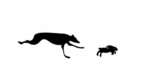 Chasing Rabbit Stock Videos – Royalty-Free HD & 4K Videos | Pond5