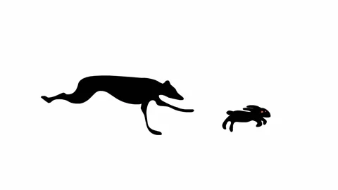Greyhound dog chasing rabbit (seamless l... | Stock Video | Pond5