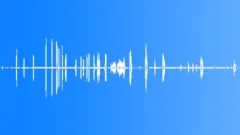 Greylag Goose Sound Effects ~ Greylag Goose Sounds | Pond5