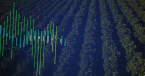 Grid overlay appearing triggers data bar... | Stock Video | Pond5