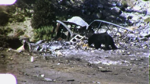 Trash Film Stock Videos – Royalty-Free HD & 4K Videos | Pond5