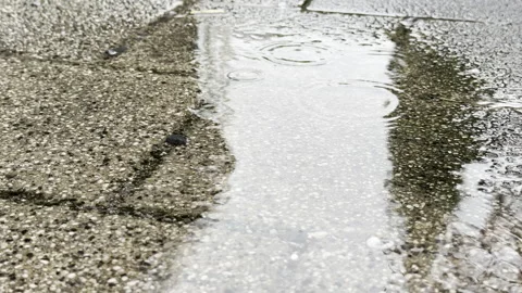 Ground-level static view of a puddle of ... | Stock Video | Pond5