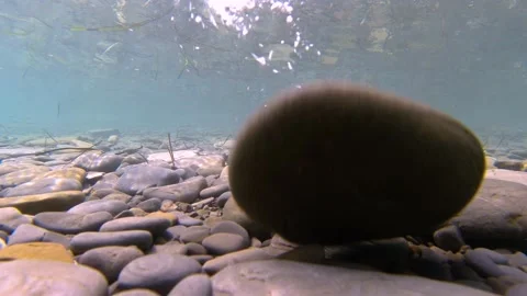 Ground level view of underwater loop of ... | Stock Video | Pond5