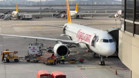 Ground staff loading cargo on aircraft | Stock Video | Pond5