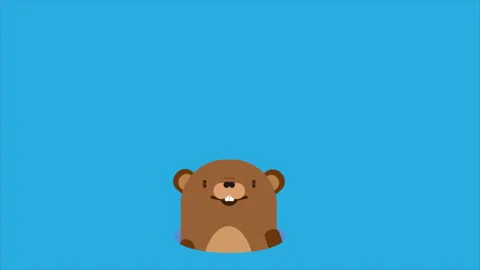 Cartoon Groundhog Stock Videos – Royalty-Free HD & 4K Videos | Pond5