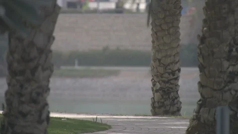 Riyadh Girls Stock Videos – Royalty-Free HD & 4K Videos | Pond5