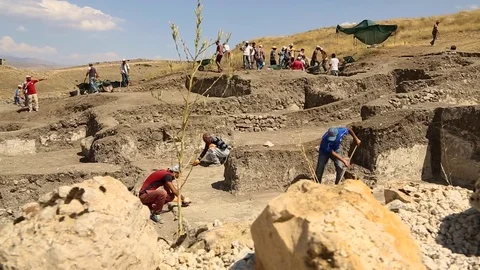 Group Of Archaeologist Explore Ruins | Stock Video | Pond5