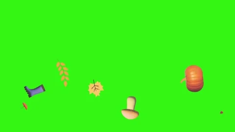Group of autumn elements objects animati... | Stock Video | Pond5