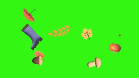 Group of autumn elements objects animati... | Stock Video | Pond5