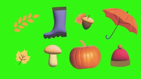 Group of autumn elements objects animati... | Stock Video | Pond5