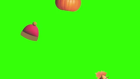 Group of autumn elements objects animati... | Stock Video | Pond5