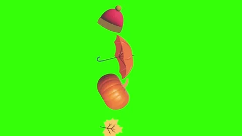 Group of autumn elements objects animati... | Stock Video | Pond5