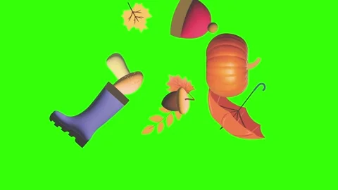 Group of autumn elements objects animati... | Stock Video | Pond5